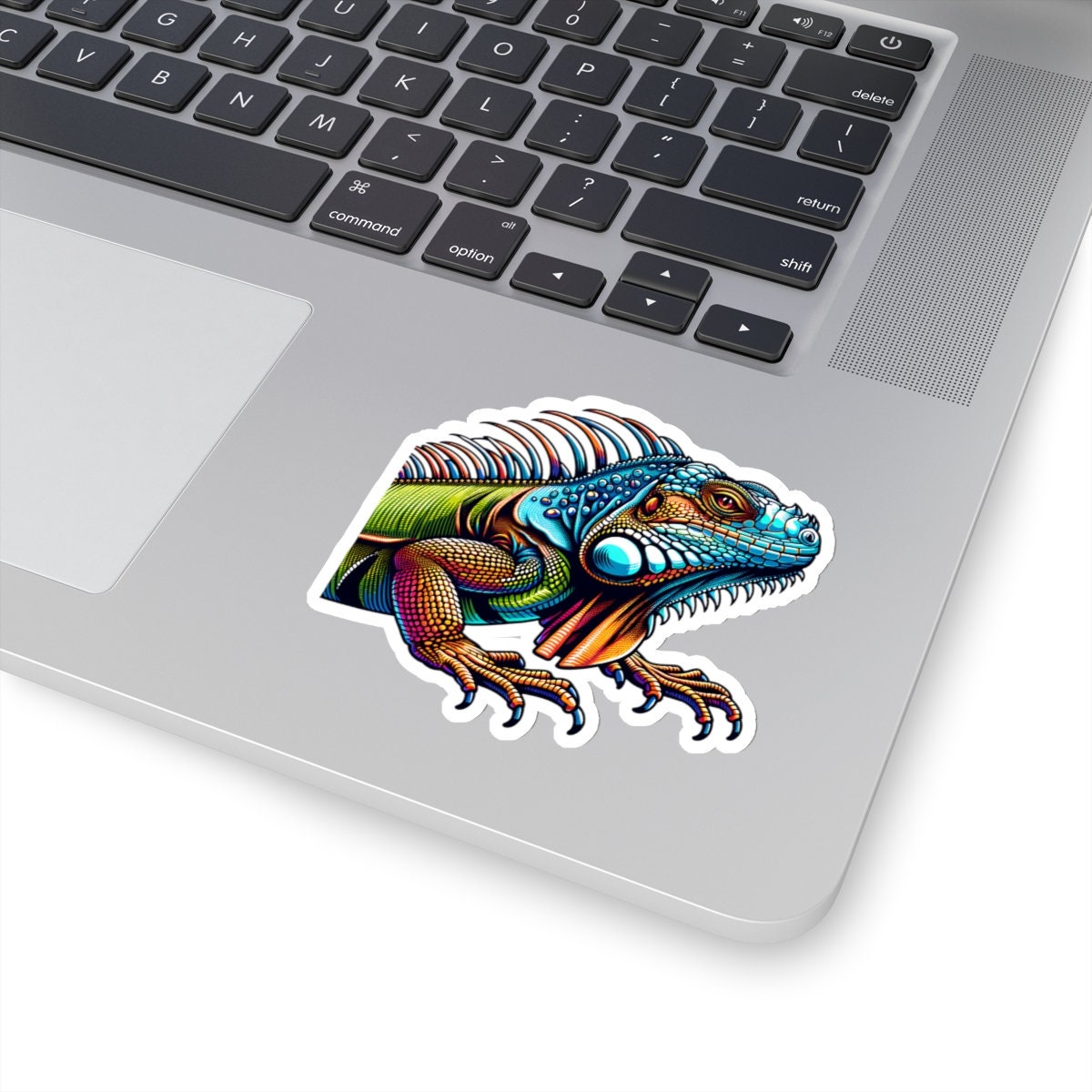 Iguana Vinyl Sticker, Lizard Decal - Etsy