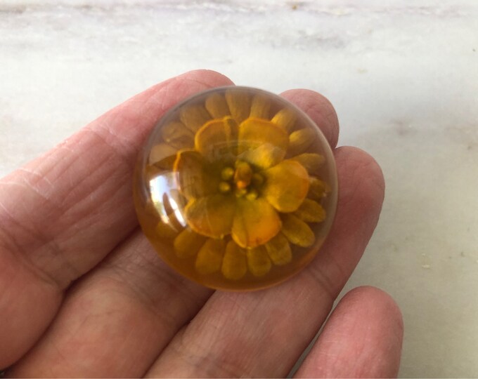 Apple Juice Bakelite Reverse Carved Button - Etsy