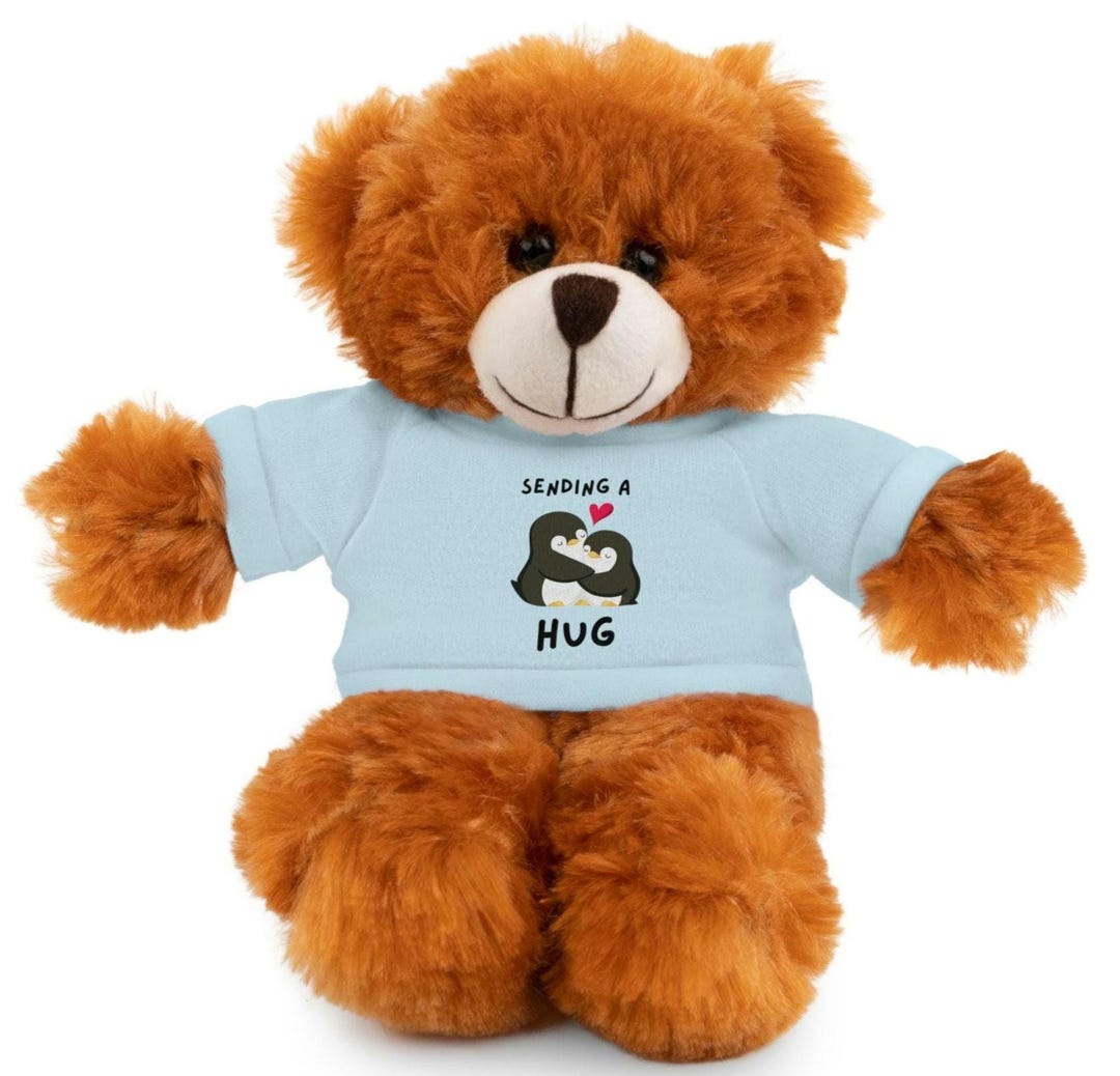 Stuffed Animals, Sending a Hug, Girl Boy Gift Plush Toy With Tee ...