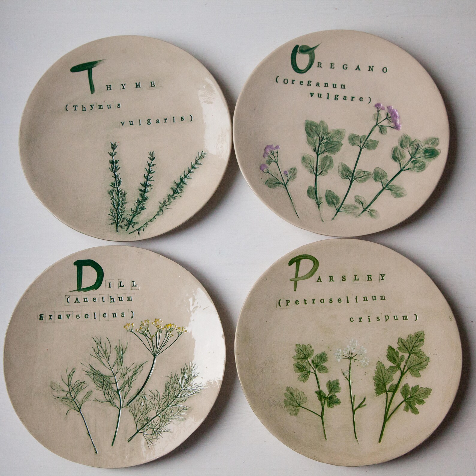 Botanical plates with garden herbs design Handmade 8in | Etsy