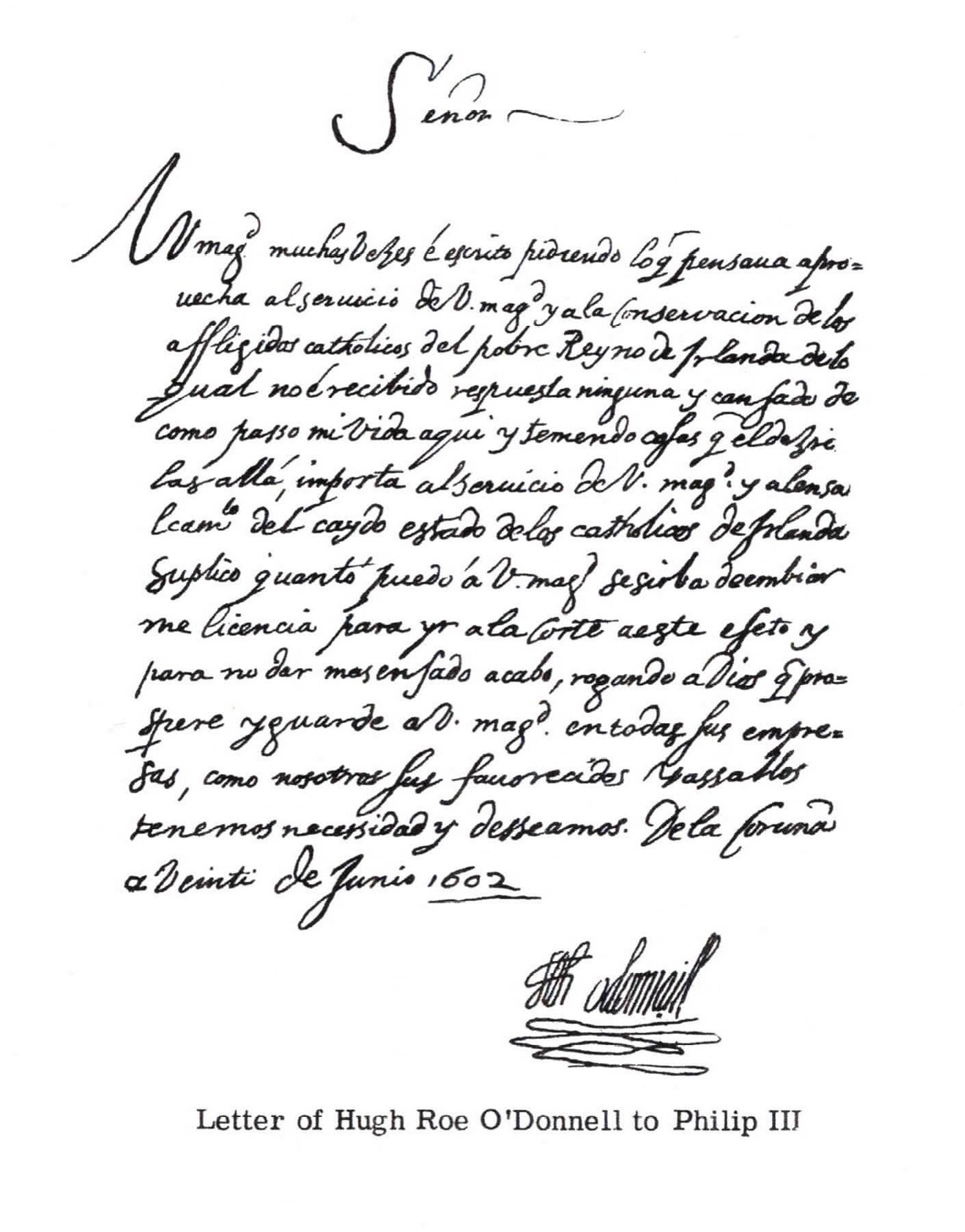 Red Hugh: the Story of Hugh Roe O'donnell 40 Pages | Etsy