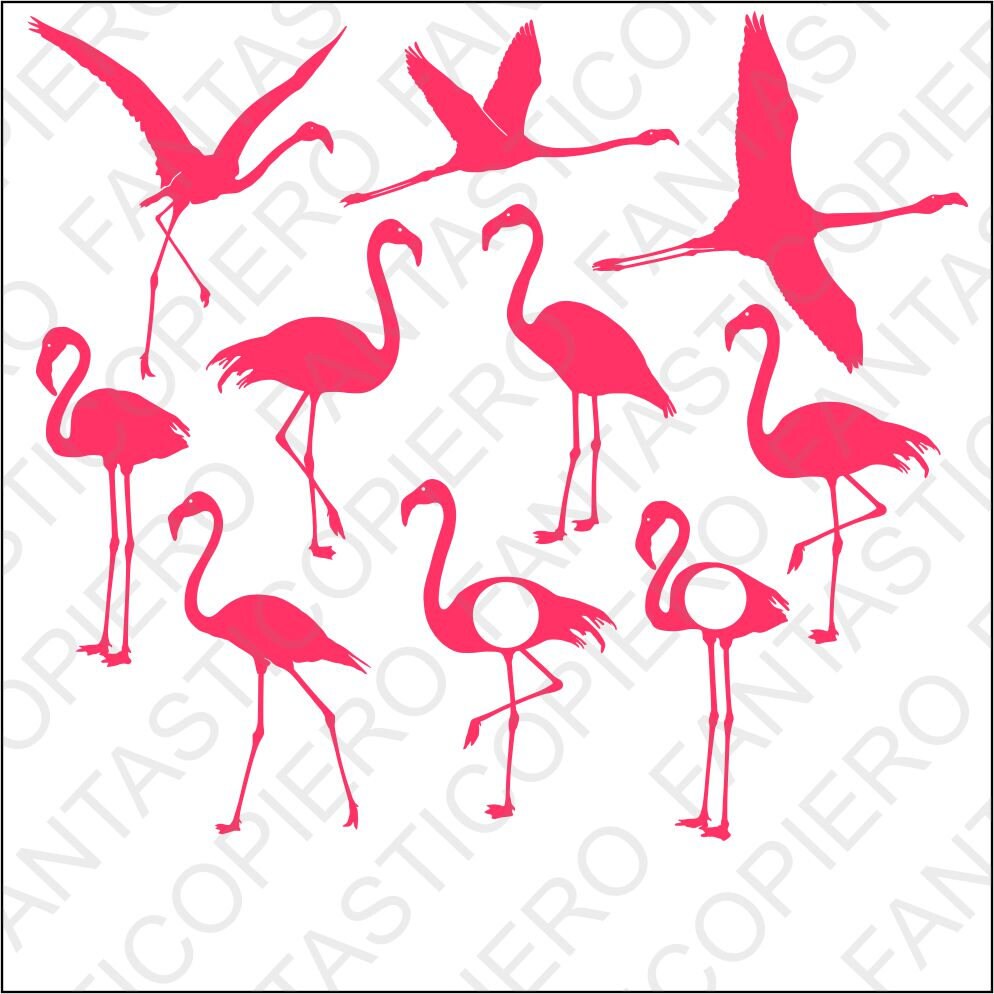 Flamingo SVG Files for Silhouette Cameo and Cricut. Flamingos Clipart ...
