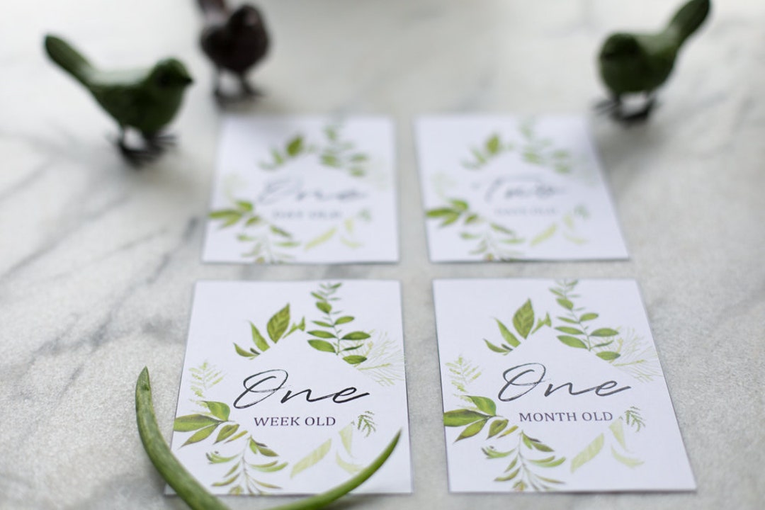 Printable Milestone Stickers Milestone Cards Floral Baby - Etsy