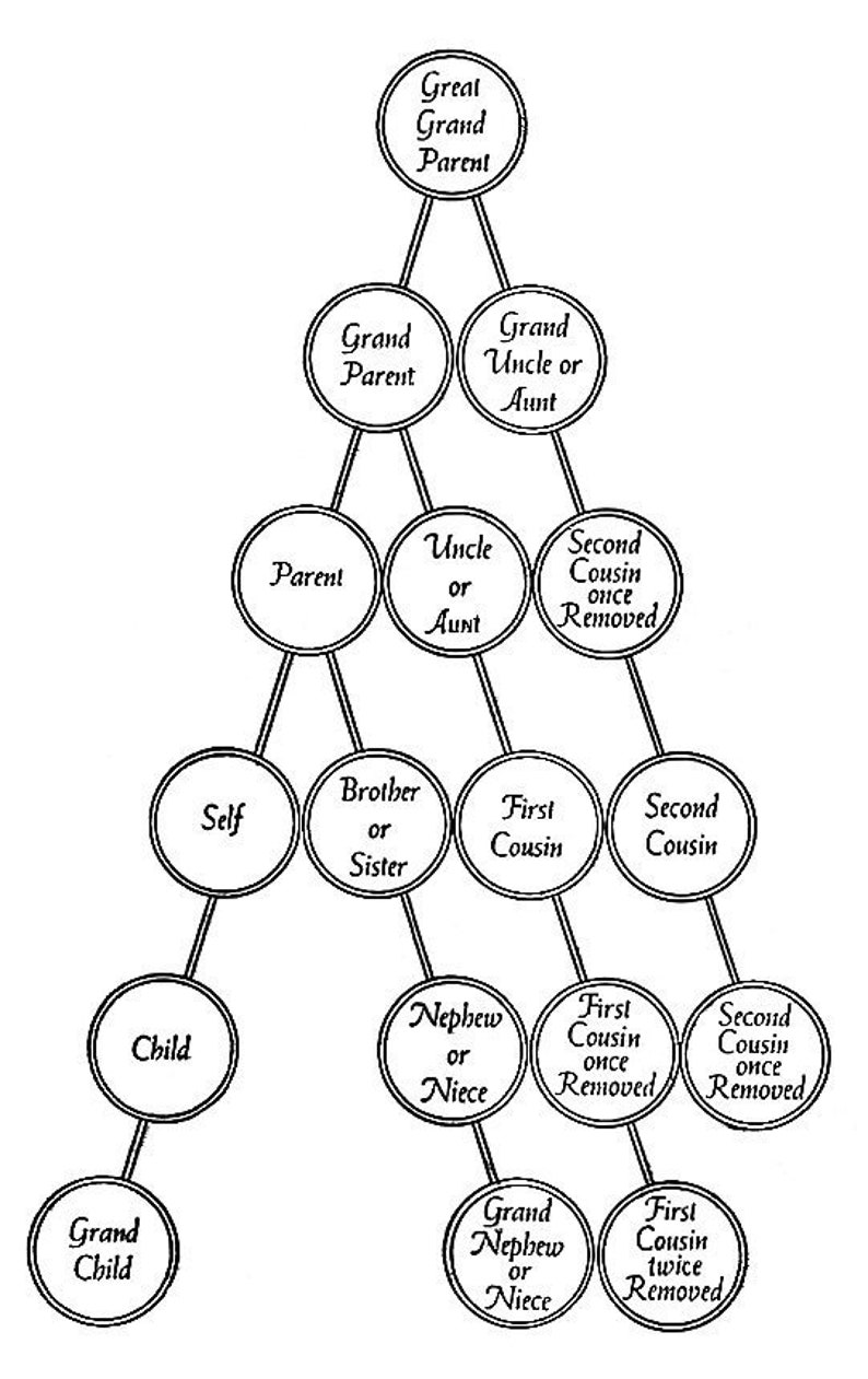 This is the BEST Way to Display a Family Tree. - Etsy