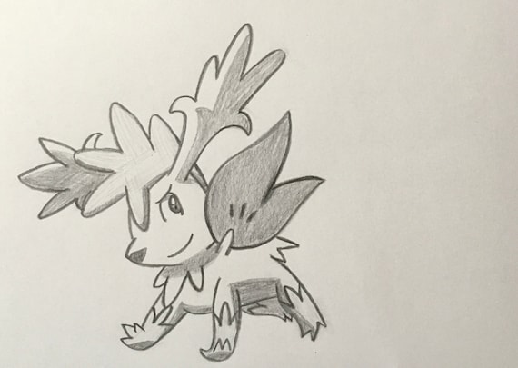 Shaymin sky Form Graphite Drawing | Etsy