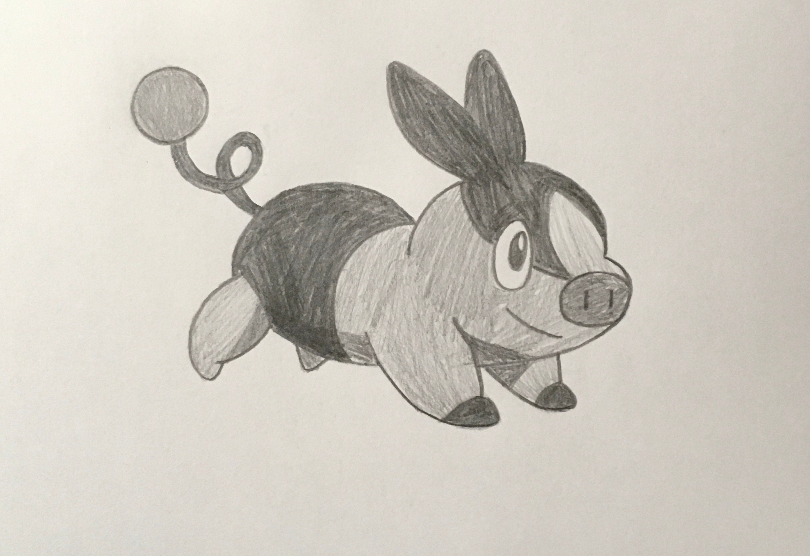Tepig Drawing