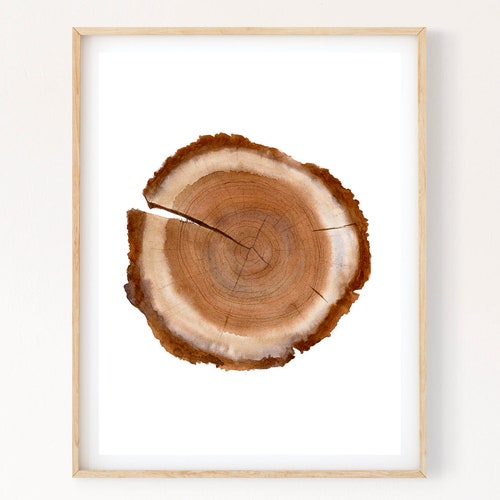 Tree Ring Printable Wall Art Tree Stump Instant Digital Print - Etsy