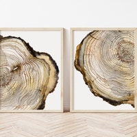 Tree Ring Printable Tree Stump Prints Digital Print Set of 3 Beige Tree ...