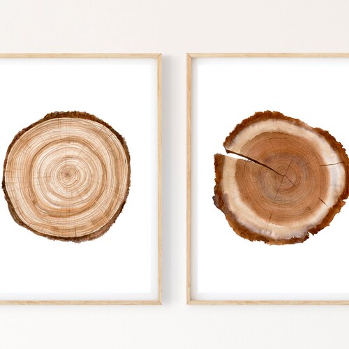 Tree Ring Printable Wall Art Tree Stump Instant Digital Print - Etsy