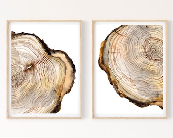 Tree Stump Wall Art | Etsy