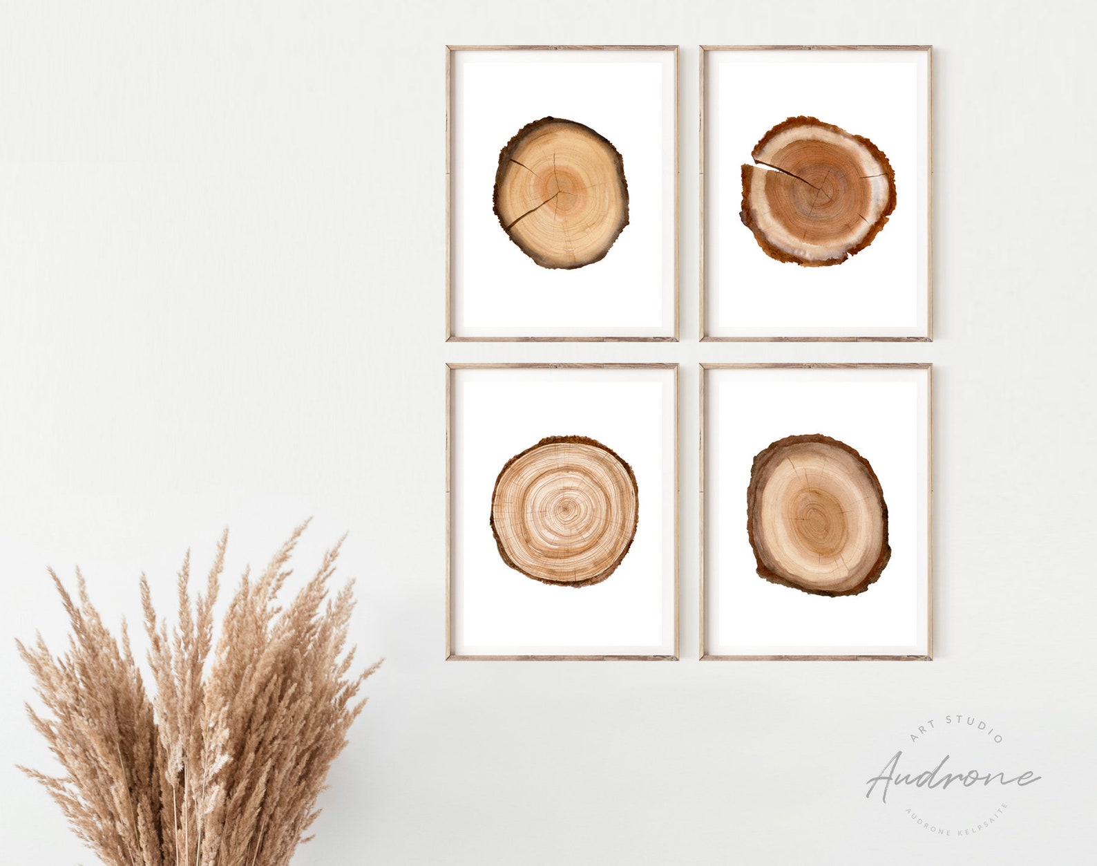 Tree Ring Printable Wall Art Set of 4, Tree Stump Instant Digital Print ...