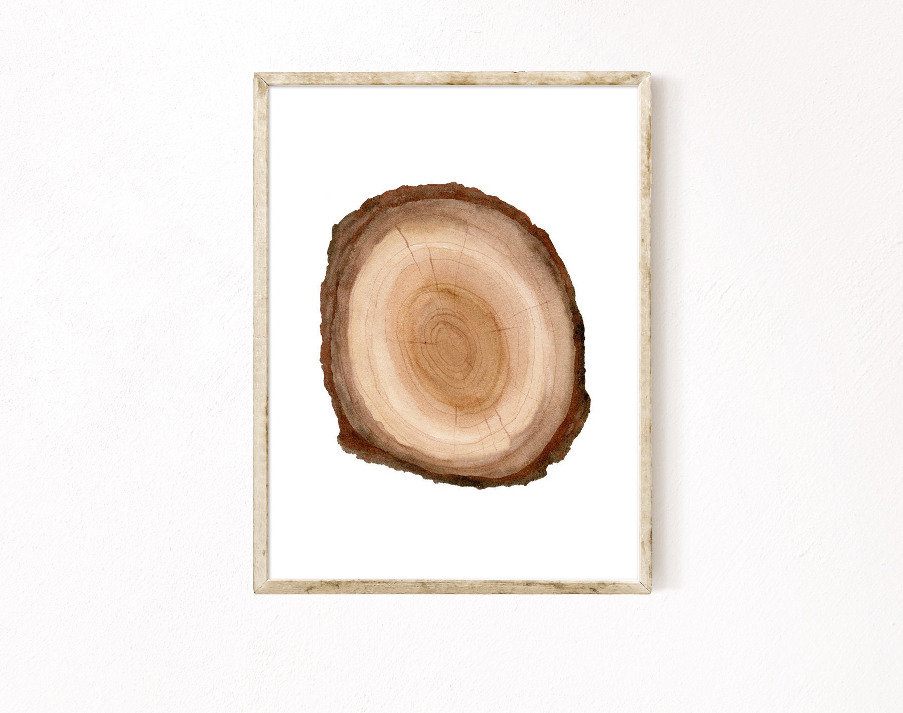 Tree Ring Printable Wall Art Tree Stump Instant Digital Print | Etsy