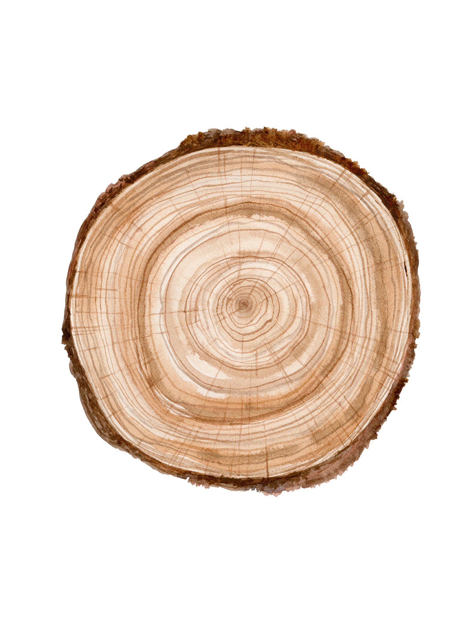 Tree Ring Printable Wall Art Set of 4, Tree Stump Instant Digital Print ...
