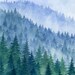 Calm Forest Wall Art Set of 3 Forest Watercolor Prints - Etsy