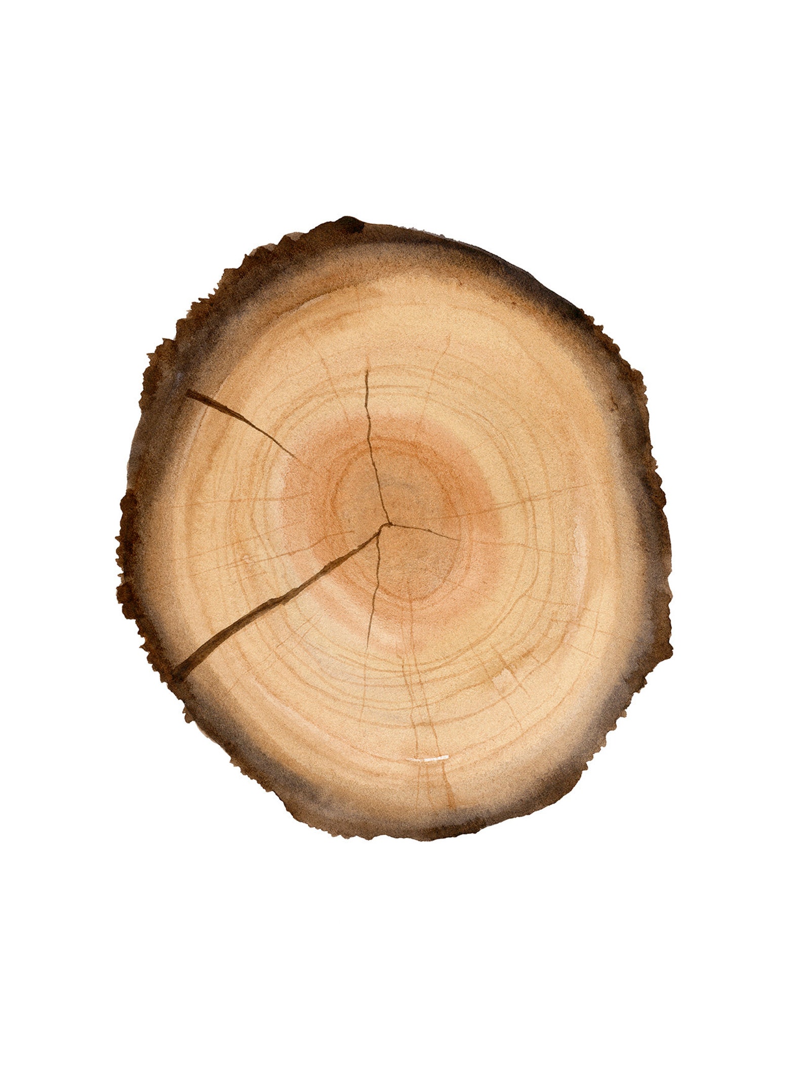 Tree Ring Printable Wall Art Set of 4, Tree Stump Instant Digital Print ...