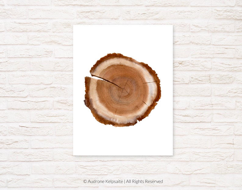 Tree Ring Printable Wall Art Tree Stump Instant Digital Print | Etsy