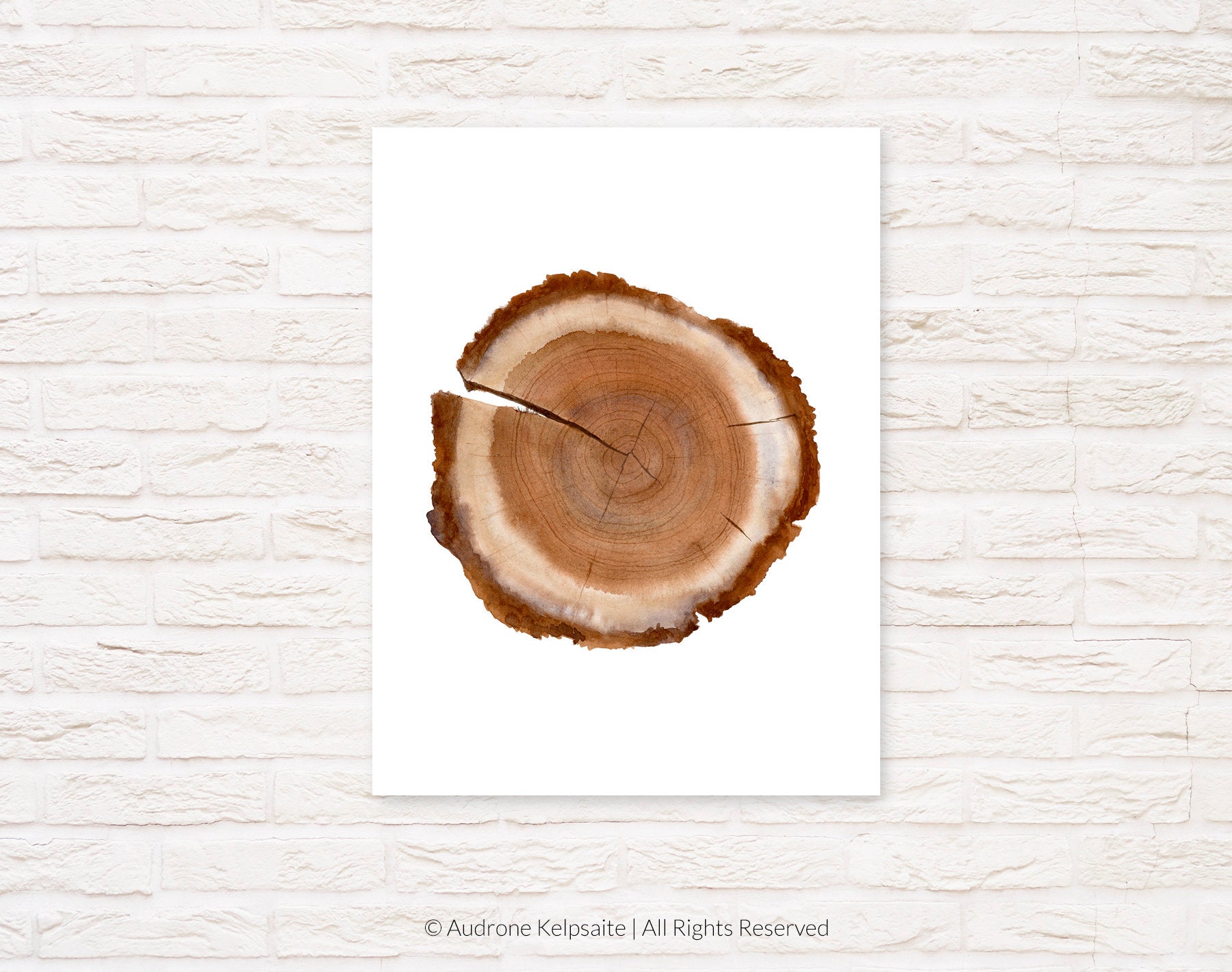 Tree Ring Printable Wall Art Tree Stump Instant Digital Print | Etsy