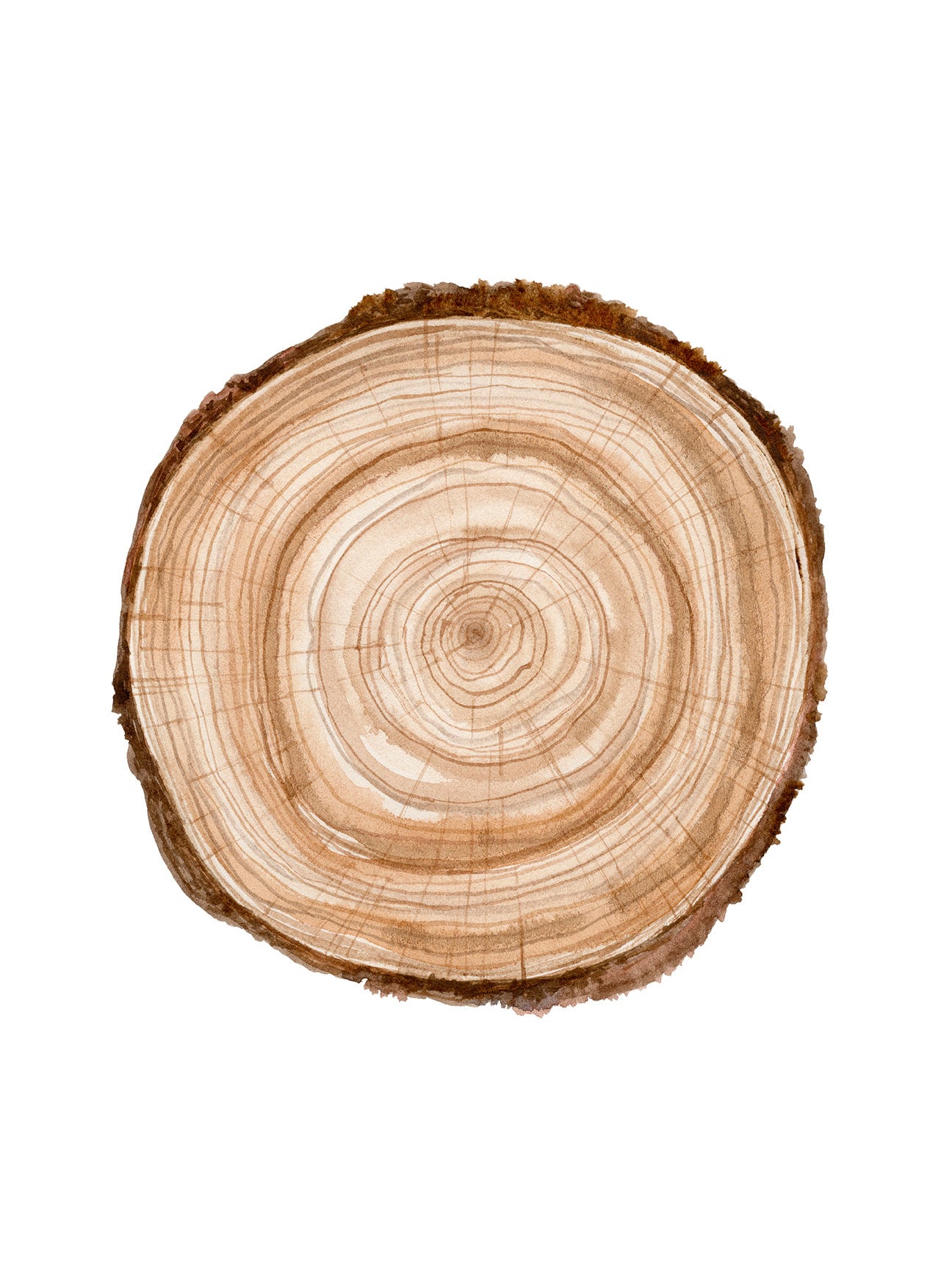 Tree Ring Printable Wall Art Tree Stump Instant Digital Print - Etsy