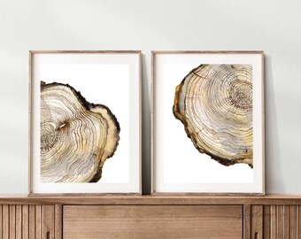 Tree Ring Print Wall Art Set of 2 Stump Printable Instant - Etsy
