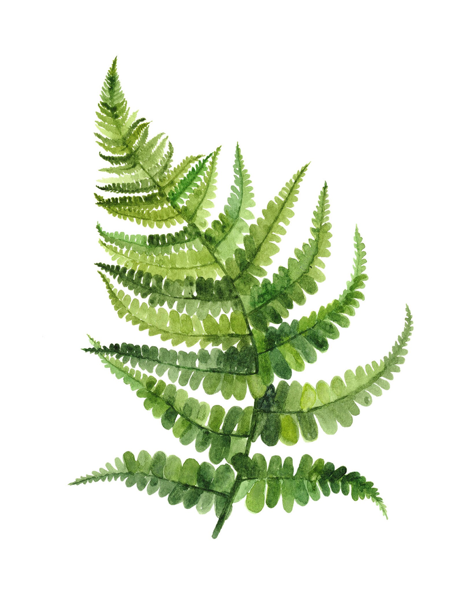 Fern Printable Wall Art Set of 2 Modern Botanical Greenery - Etsy
