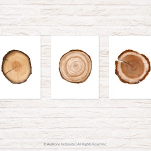 Tree Ring Printable Wall Art Set of 3, Tree Stump Instant Digital Print ...