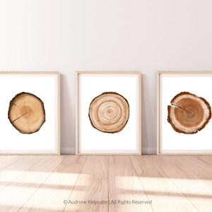 Tree Ring Printable Wall Art Set of 3 Tree Stump Instant | Etsy
