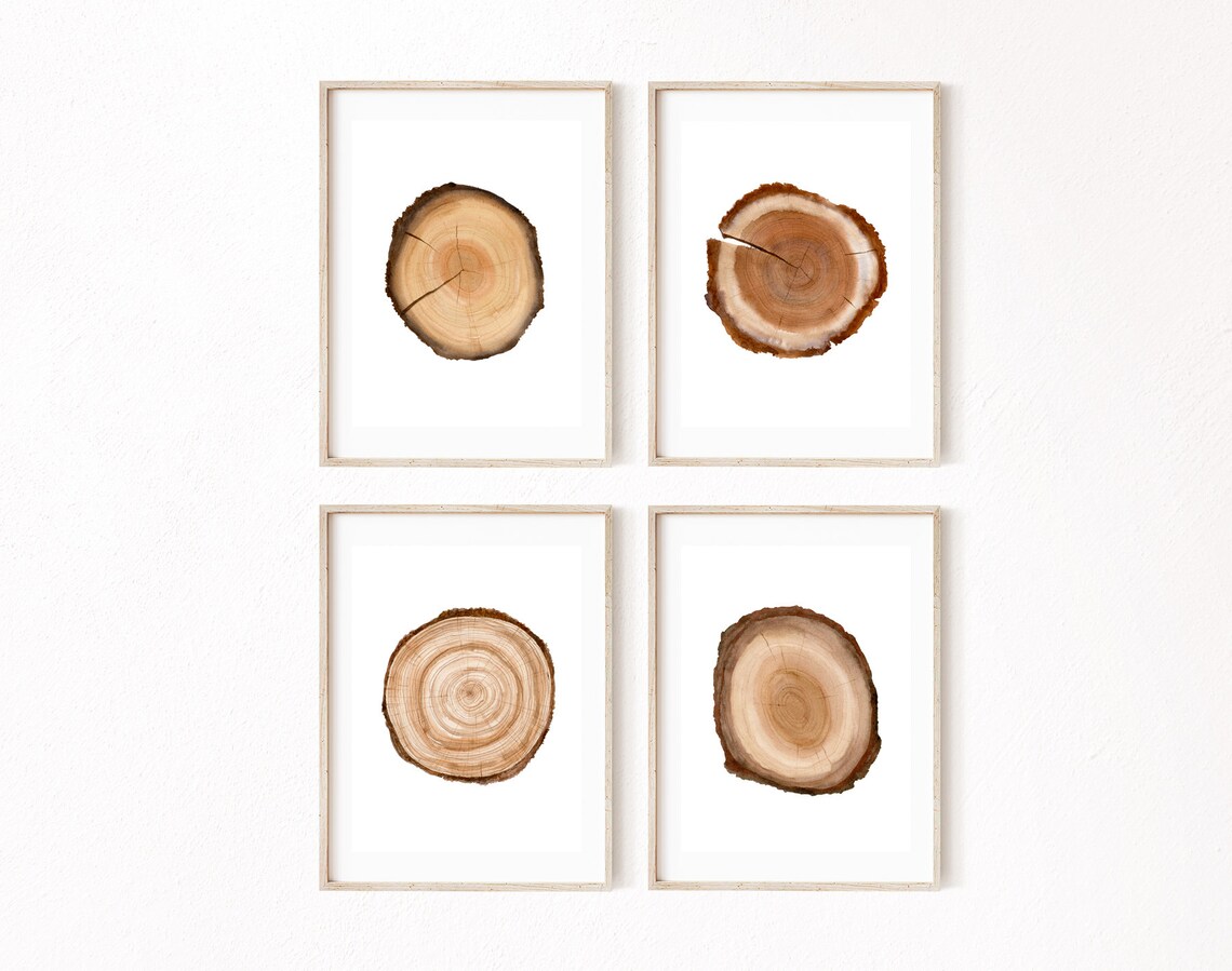 Tree Ring Printable Wall Art Set of 4, Tree Stump Instant Digital Print ...