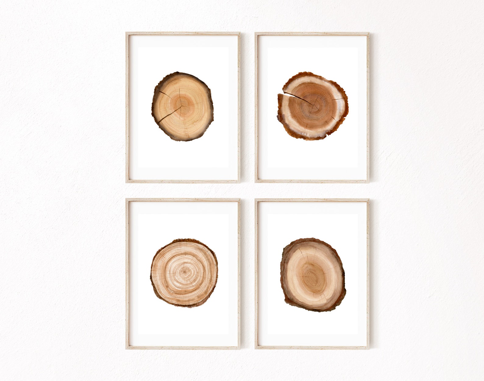 Tree Ring Printable Wall Art Set of 4, Tree Stump Instant Digital Print ...