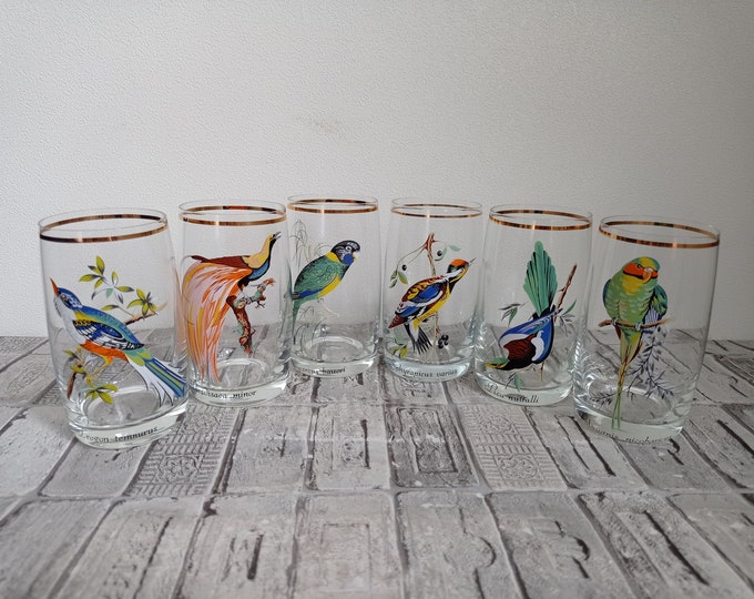 Vintage Drinking Glasses With Birds, Set of 6 Glasses With Different ...