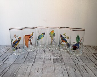 Vintage Drinking Glasses With Birds, Set of 6 Glasses With Different ...
