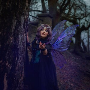 Dark Fairytale Ball Gown, Goth Fae Costume, Gothic Fairy Dress, Fantasy ...