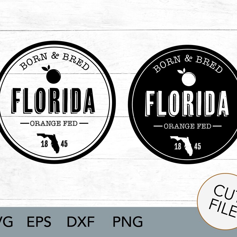 Florida Oranges - Etsy