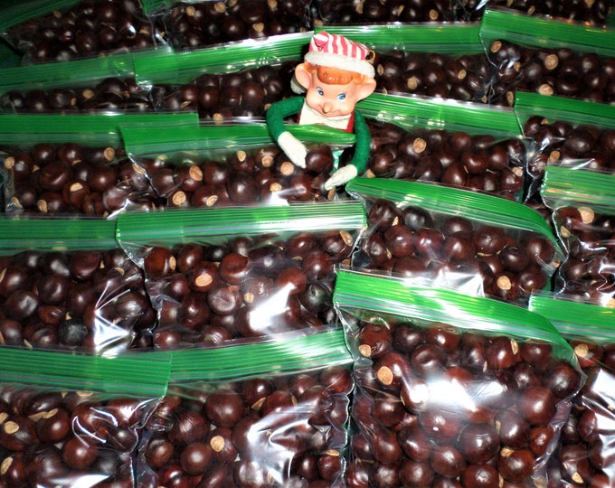 100 Buckeye Nuts OHIO STATE Grown Lucky Buckeyes - Etsy