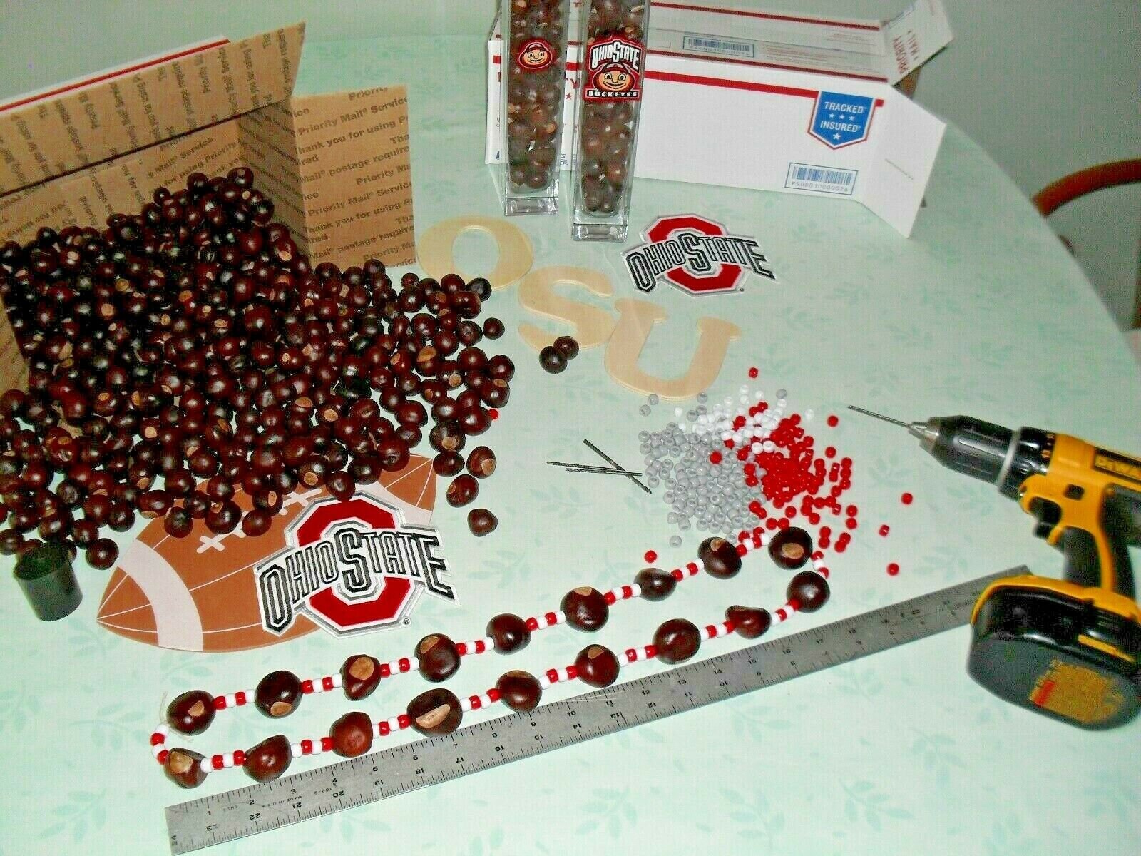 Ohio State Grown BUCKEYE NUT NECKLACE - Etsy