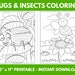 Bugs and Insects Coloring Pages for Kids and Toddlers Fun Creative ...