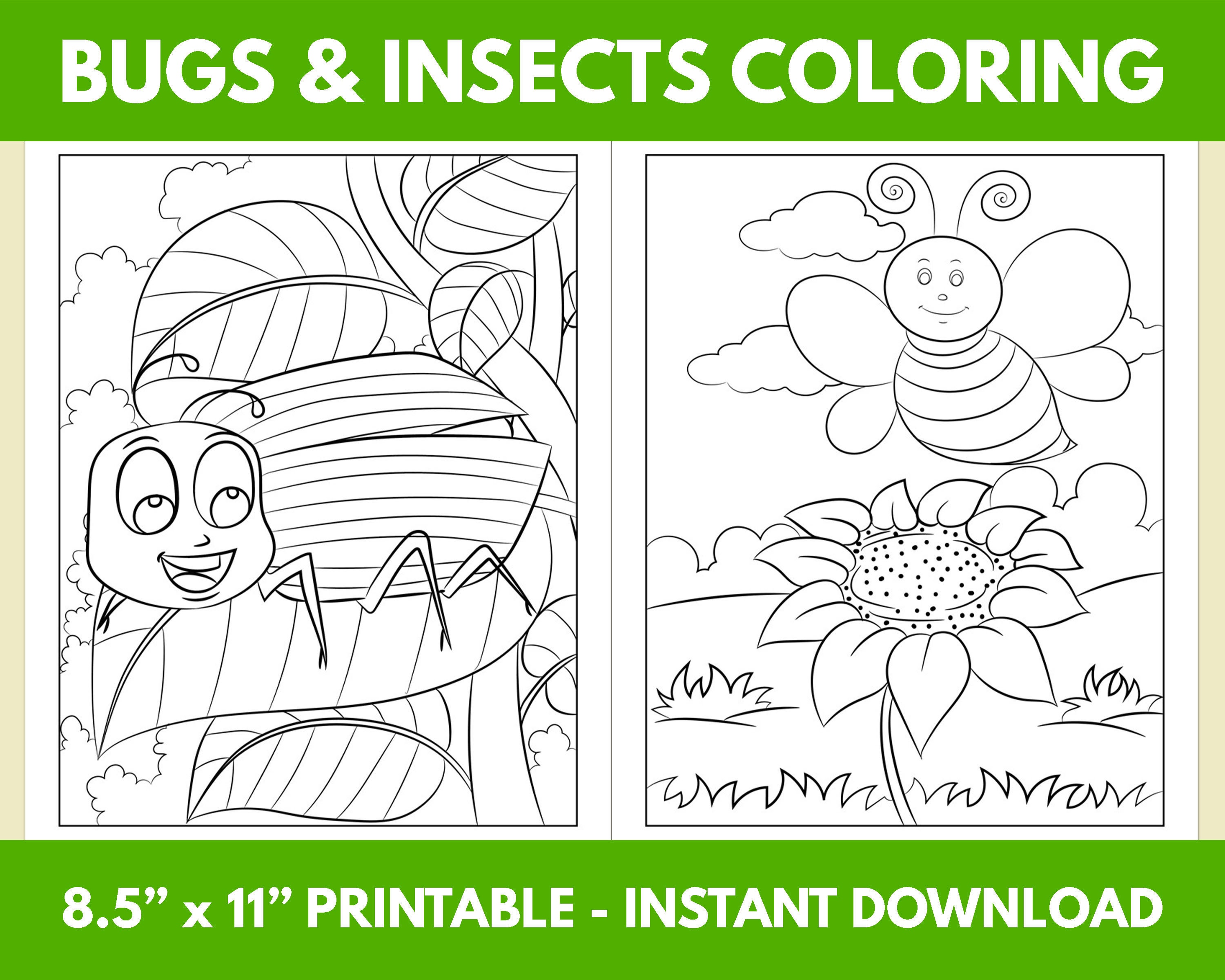 Bugs and Insects Coloring Pages for Kids and Toddlers Fun Creative ...