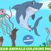 Ocean Animals Coloring Printable Pages for Kids and Toddlers Fun ...