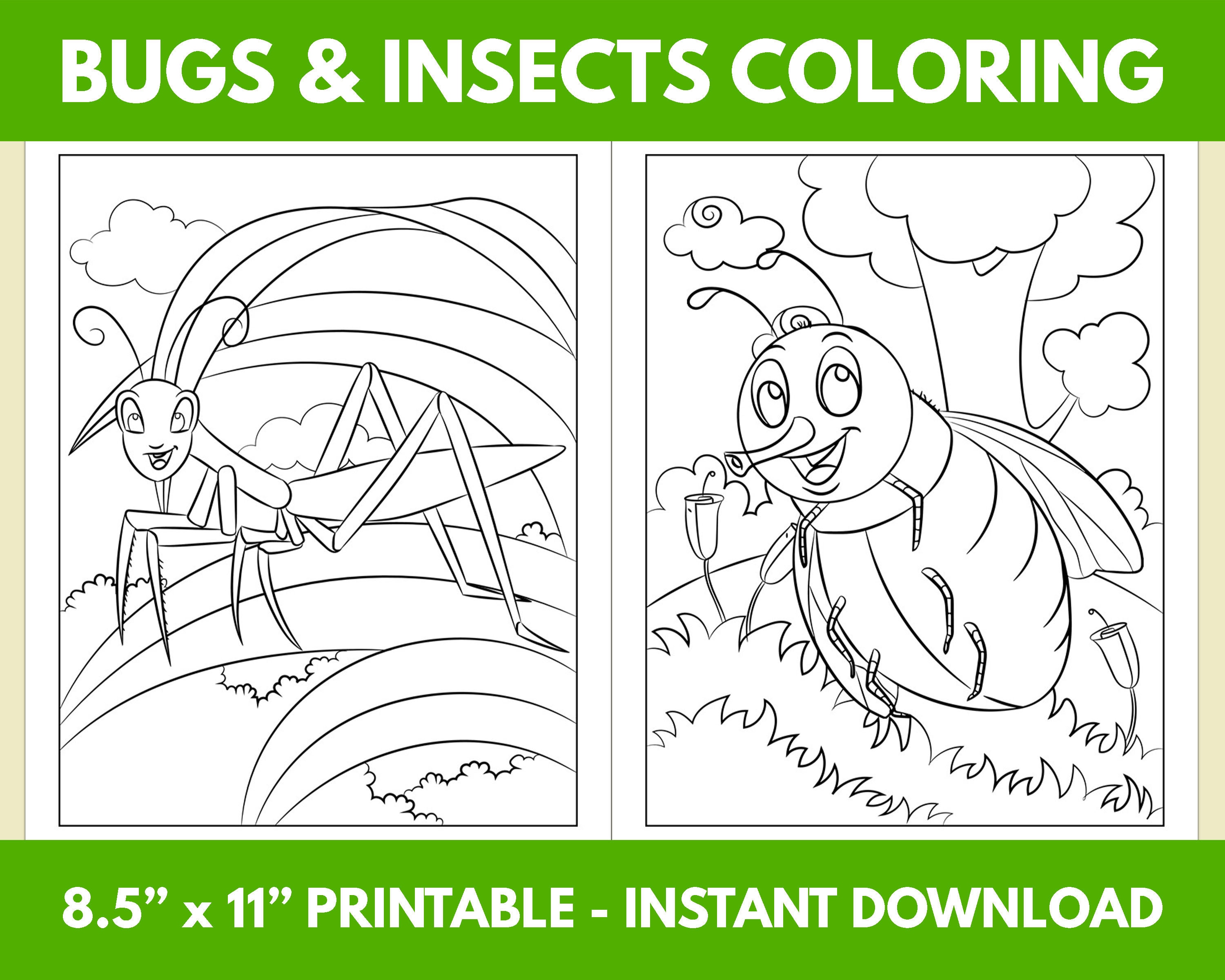 Bugs and Insects Coloring Pages for Kids and Toddlers Fun Creative ...
