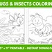 Bugs and Insects Coloring Pages for Kids and Toddlers Fun Creative ...