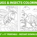 Bugs and Insects Coloring Pages for Kids and Toddlers Fun Creative ...