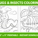 Bugs and Insects Coloring Pages for Kids and Toddlers Fun Creative ...