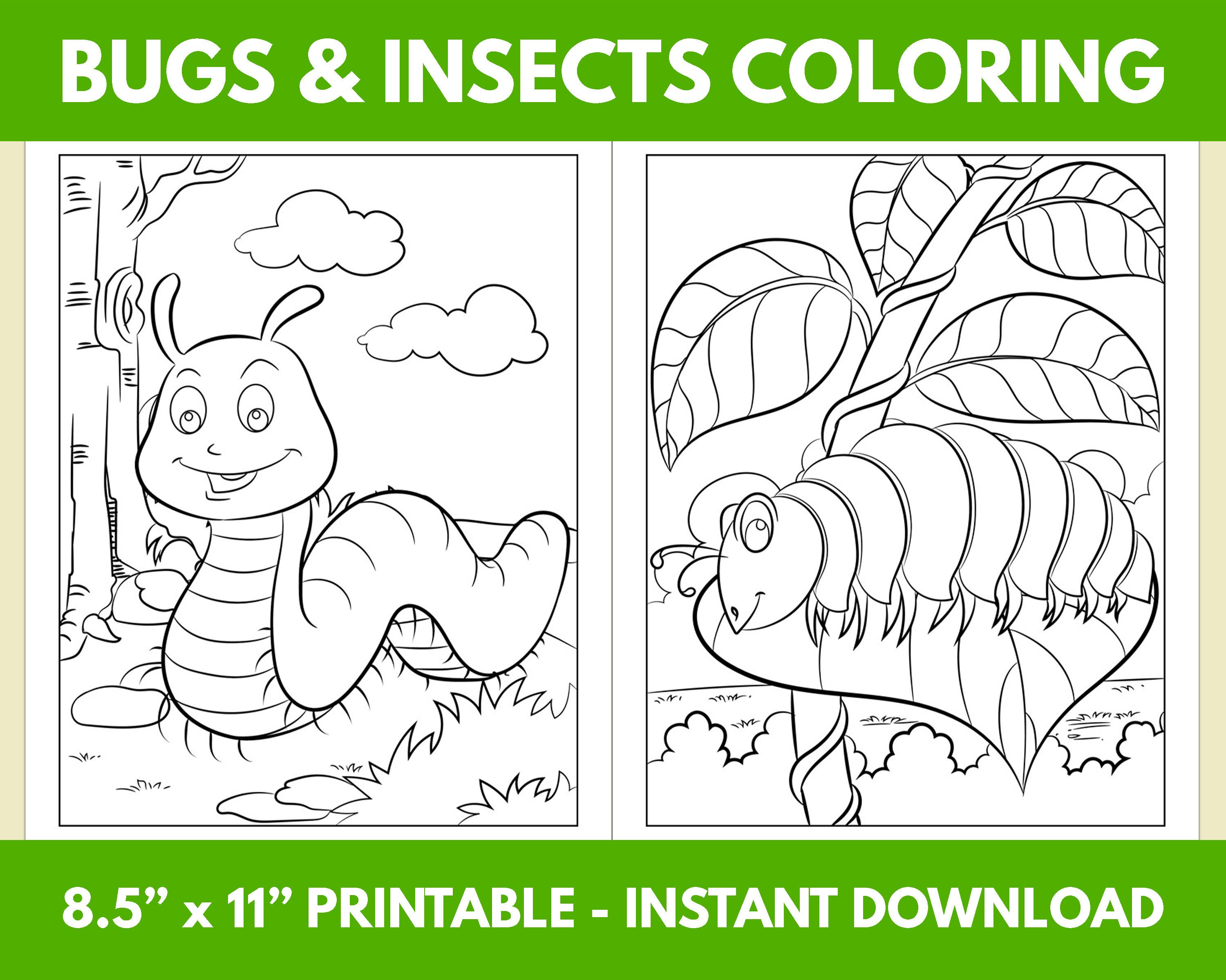 Bugs and Insects Coloring Pages for Kids and Toddlers Fun Creative ...