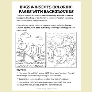 Bugs and Insects Coloring Pages for Kids and Toddlers - Fun Creative ...