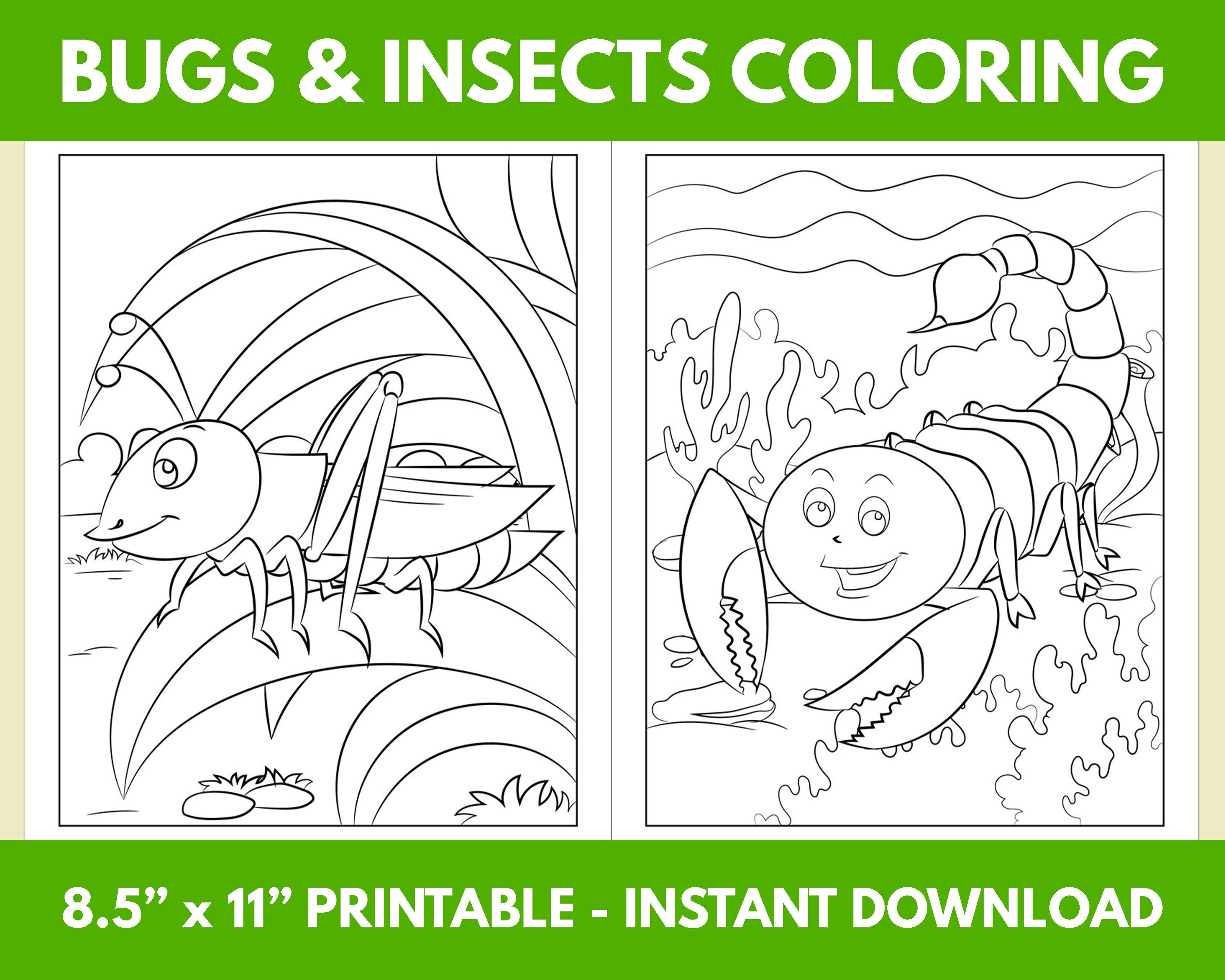Bugs and Insects Coloring Pages for Kids and Toddlers Fun Creative ...