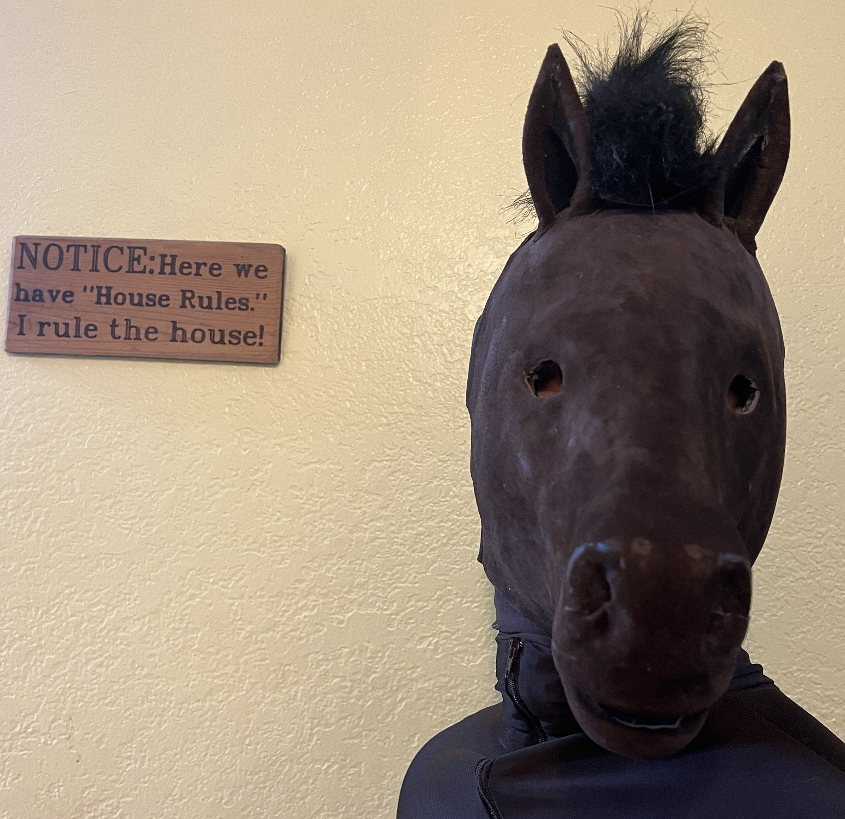 Pony Head - Full Enclosure - Raw - for Fursuit / Cosplay Builders - Etsy