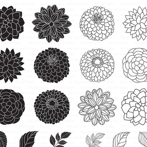 Dahlia SVG - Etsy