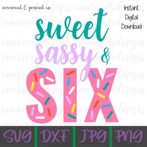 Sweet Sassy and Six SVG, 6th Birthday Svg, Donut Birthday Svg, Sweet ...