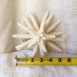 Starfish Tree Topper, Coastal, Nautical, Tree Topper, Christmas Tree ...