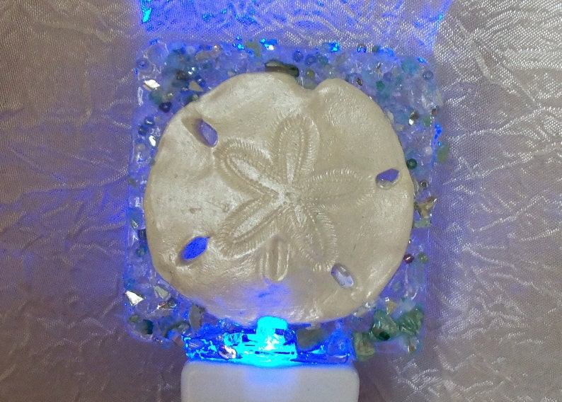 Sand Dollar Night Light Night Light Nightlight Sandollar - Etsy