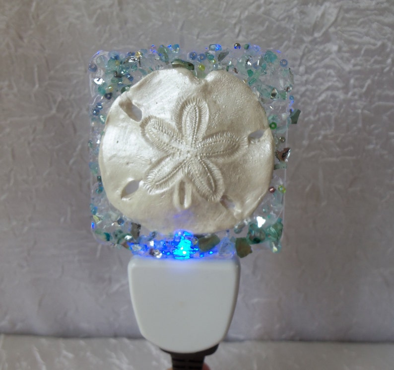 Sand Dollar Night Light Night Light Nightlight Sandollar - Etsy
